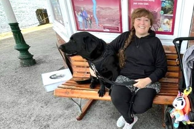 Medivet 24 Hour Dorchester | Dorchester Vet | Vet UK