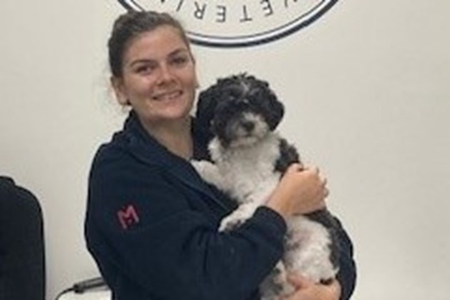 Medivet 24 Hour Dorchester | Dorchester Vet | Vet UK