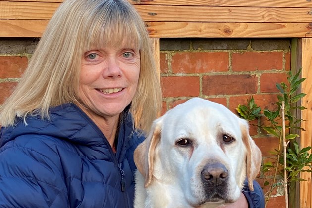 Medivet 24 Hour Dorchester | Dorchester Vet | Vet UK