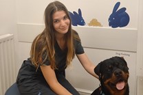 Medivet 24 Hour Sutton | Emergency Vets Sutton