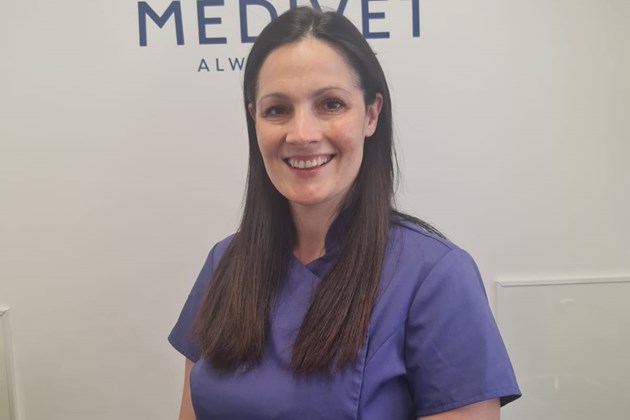 Medivet 24 Hour Sutton | Emergency Vets Sutton