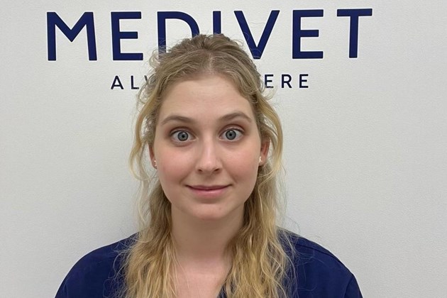 Medivet 24 Hour Sutton | Emergency Vets Sutton