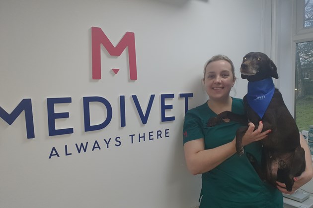 Vet in Standish | Open Saturdays | Medivet