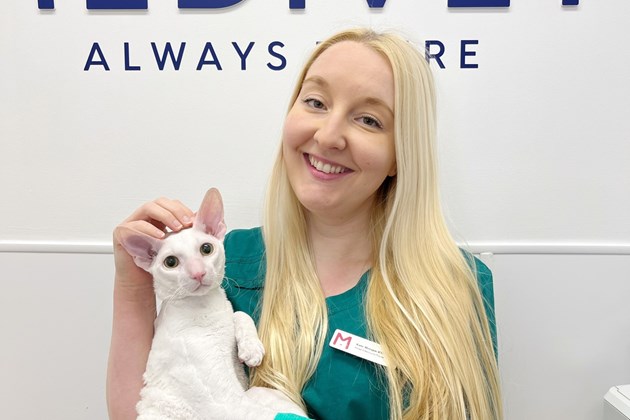 Vet in Lawley | Medivet