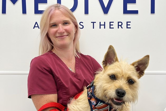 Vet in Lawley | Medivet