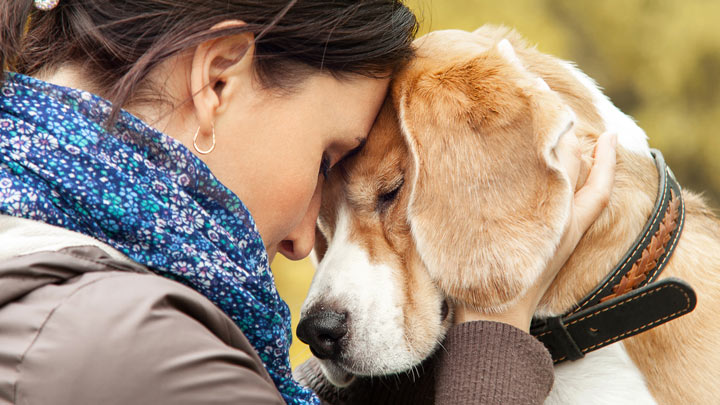 Understanding Common and Abnormal Dog Behaviours | Medivet