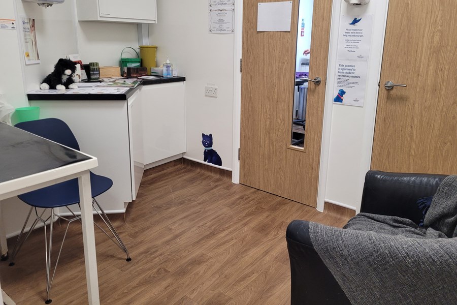 Vet in Morden | London Vets | Medivet