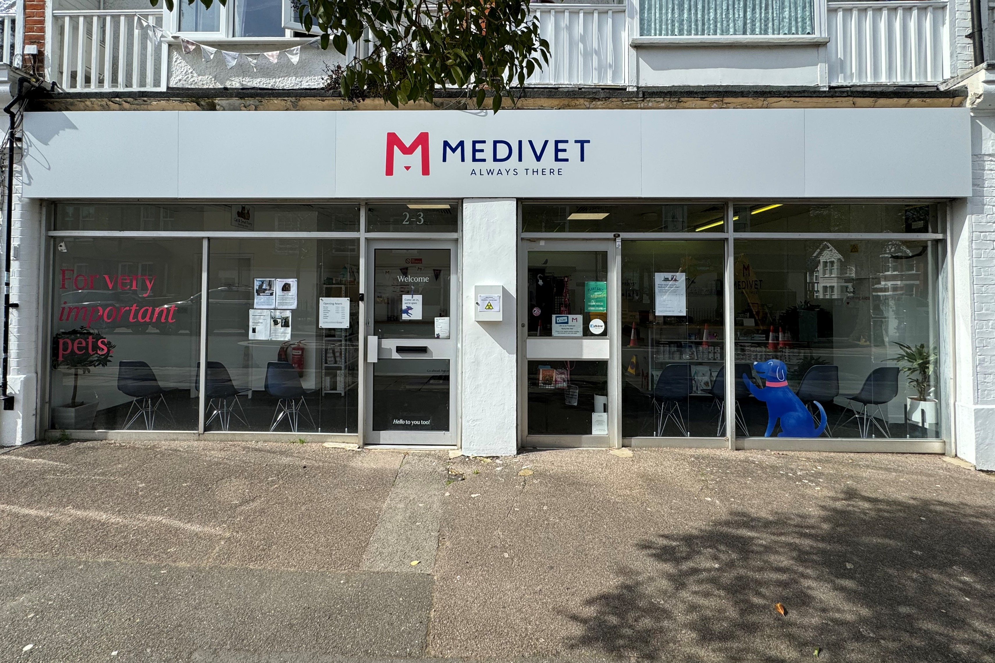 Vet in Teddington | London Vets | Medivet