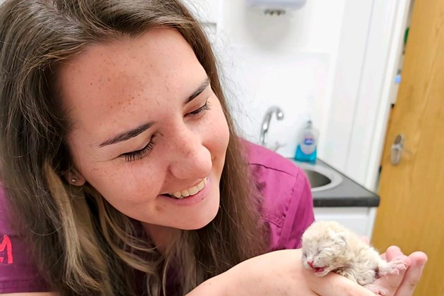 Vet in Great Denham | Open Saturdays | Medivet