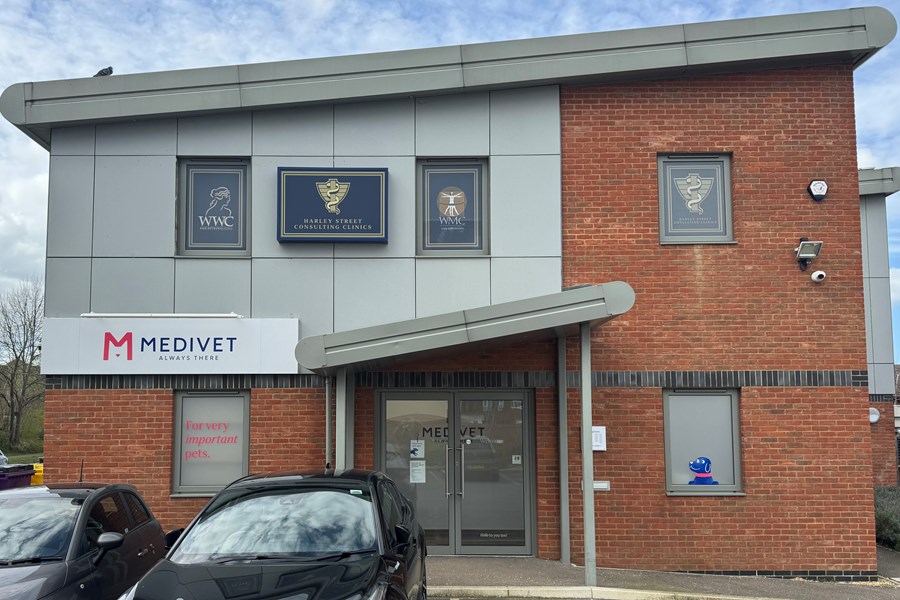 Vet in Great Denham | Open Saturdays | Medivet