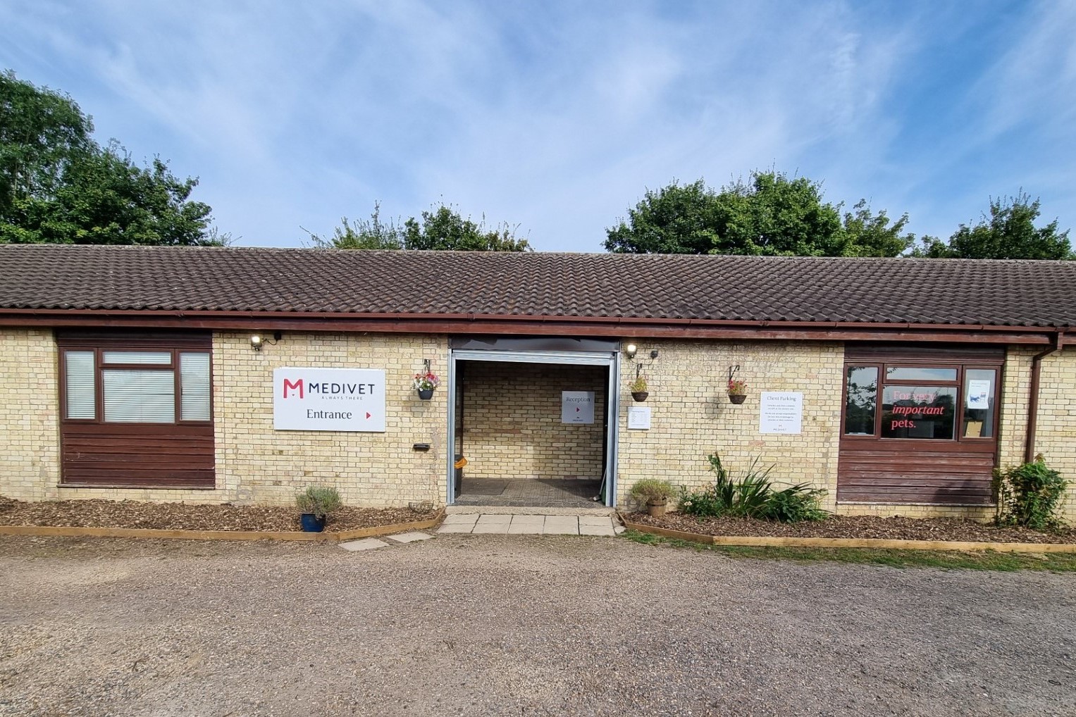 Vet in Impington | Open Saturdays | Medivet