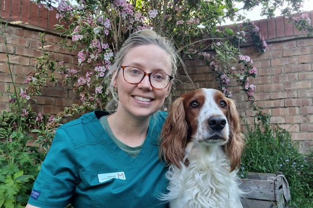 Vet in Impington | Open Saturdays | Medivet