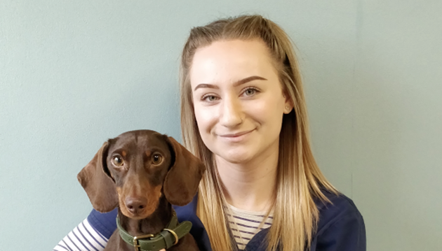 Vet in Tyldesley | Open Saturdays | Medivet