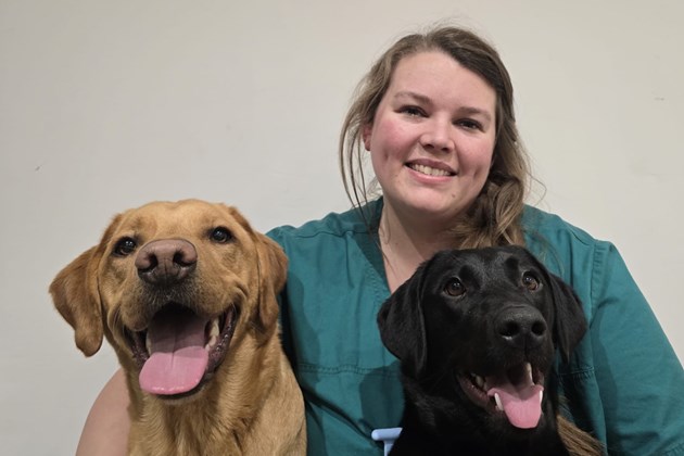 Medivet 24 Hour Shrewsbury | Emergency Vets Shrewsbury