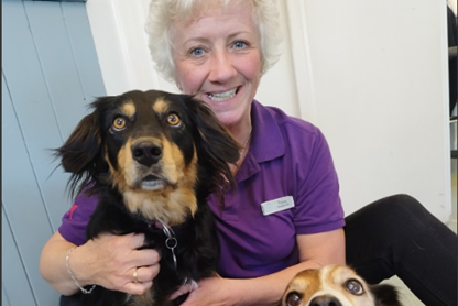 Vet in Broadstone | Vets in Poole | Medivet