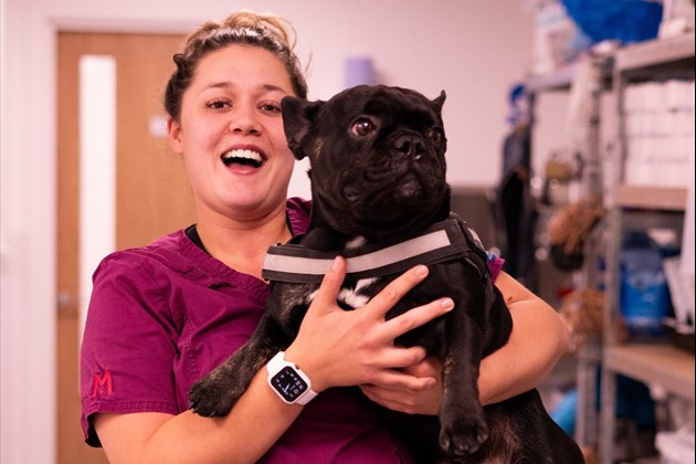 Vet in Battersea | Open Saturdays | Medivet