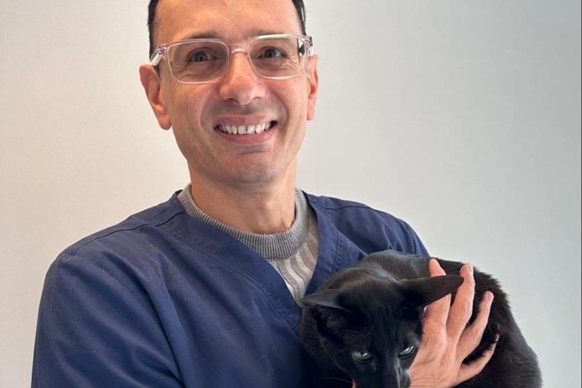 Vet in Brampton | Medivet