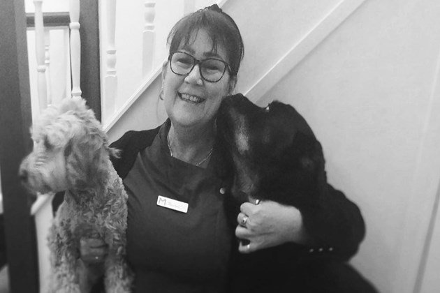 Vet in Minster | Open Saturdays | Medivet