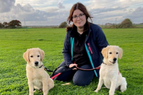 Medivet Evegate | Vet in Ashford | Medivet