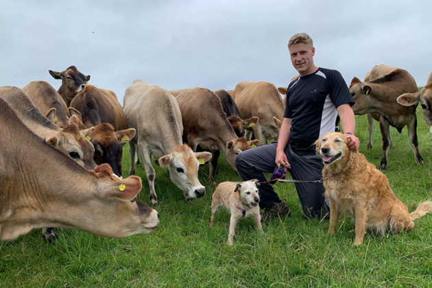 Vet in Evegate | Open Saturdays | Medivet