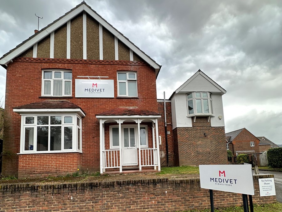 Medivet Dorking | Vets In Dorking | Vet UK