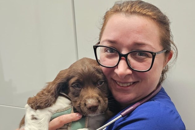 Medivet Dorking | Vets In Dorking | Vet UK