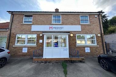 Vet in Horncastle | Open Saturdays | Medivet