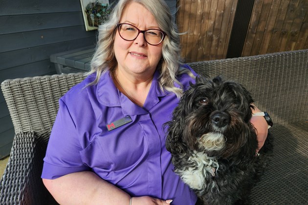 Vet in South Elmsall | Medivet