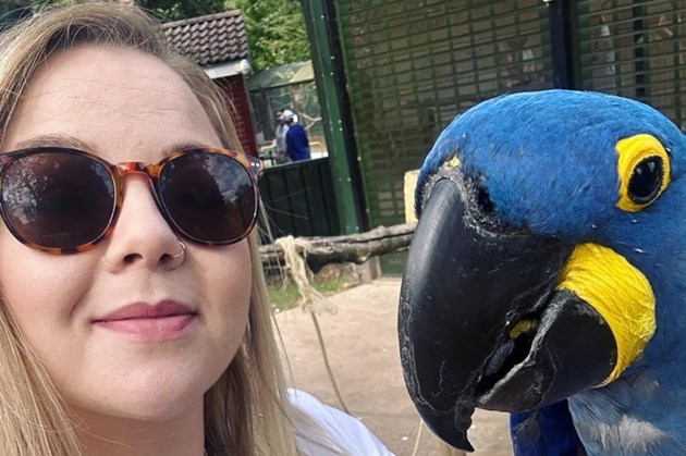 Vet in Daventry | Medivet