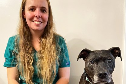 Vet in Whitchurch | Open Saturdays | Medivet