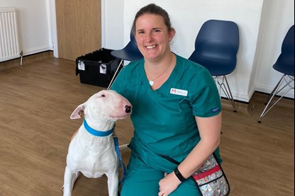 Vet in Whitchurch | Open Saturdays | Medivet