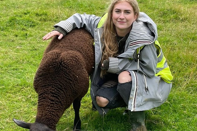 Medivet 24 Hour Alder | Emergency Vets Alder