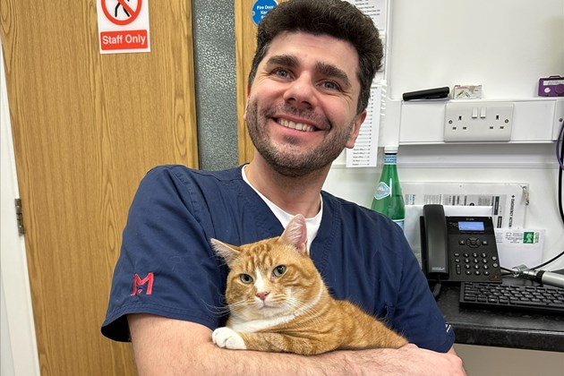 Medivet 24 Hour Alder | Emergency Vets Alder