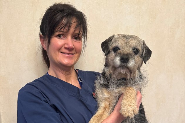 Medivet Chorley | Vets Chorley | Medivet UK