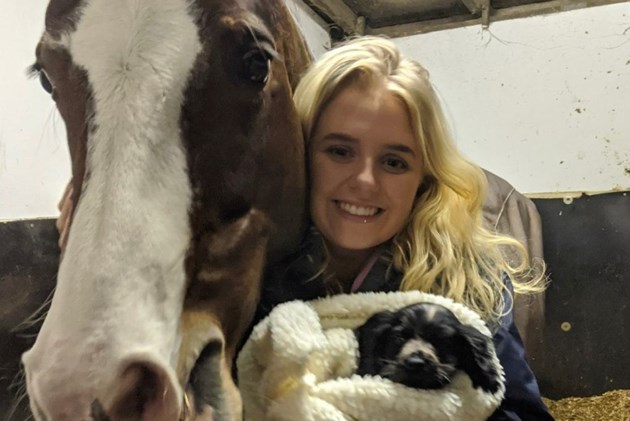 Medivet Chorley | Vets Chorley | Medivet UK