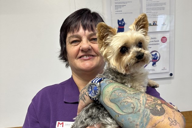 Vet in Thorpe Bay Shoebury Rd | Open Saturdays | Medivet
