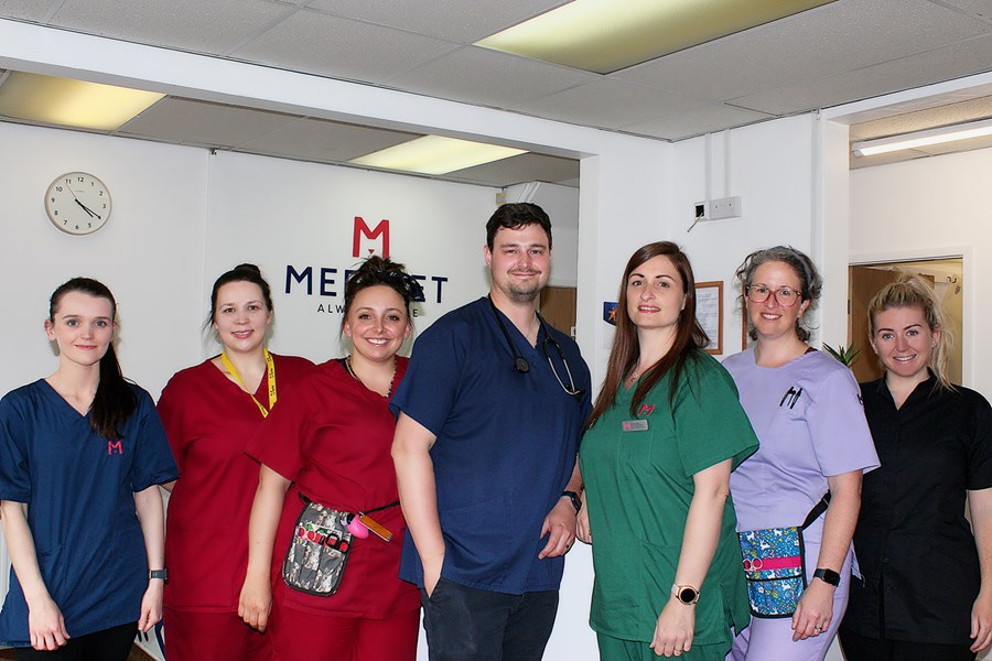 Vet in Mossley Hill | Open Saturdays | Medivet