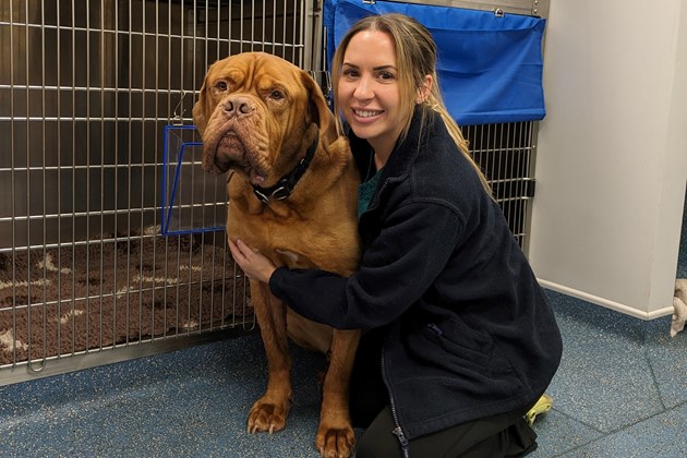 Vet in Hellesdon | Vets in Norwich | Medivet