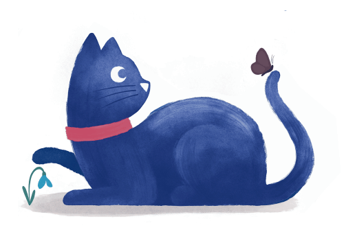 Lenguaje corporal de los gatos: Señales y significado | Medivet