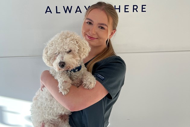 Vet in Prescot | Open Saturdays | Medivet