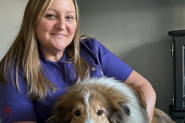 Vet in Canvey Island | Open Saturdays | Medivet