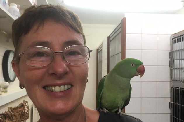 Vet in Littlehampton | Open Saturdays | Medivet