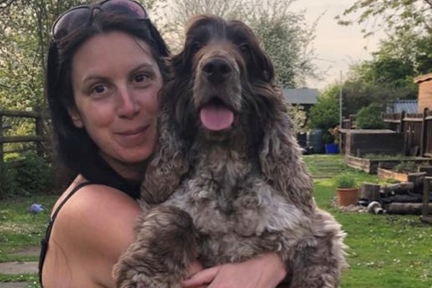 Medivet Calne | Vets in Wiltshire | Medivet