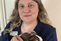 Vet in Calne | Open Saturdays | Medivet