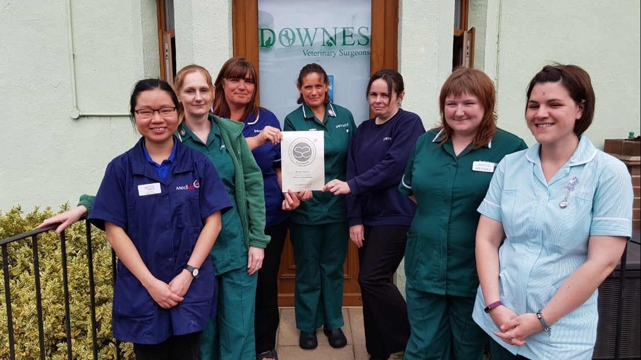 Vet in Thorpe Bay Shoebury Rd | Open Saturdays | Medivet