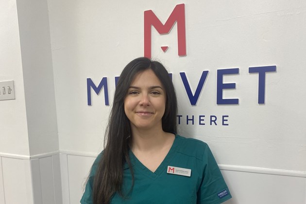 Vet in Merthyr Tydfil | Open Saturdays | Medivet