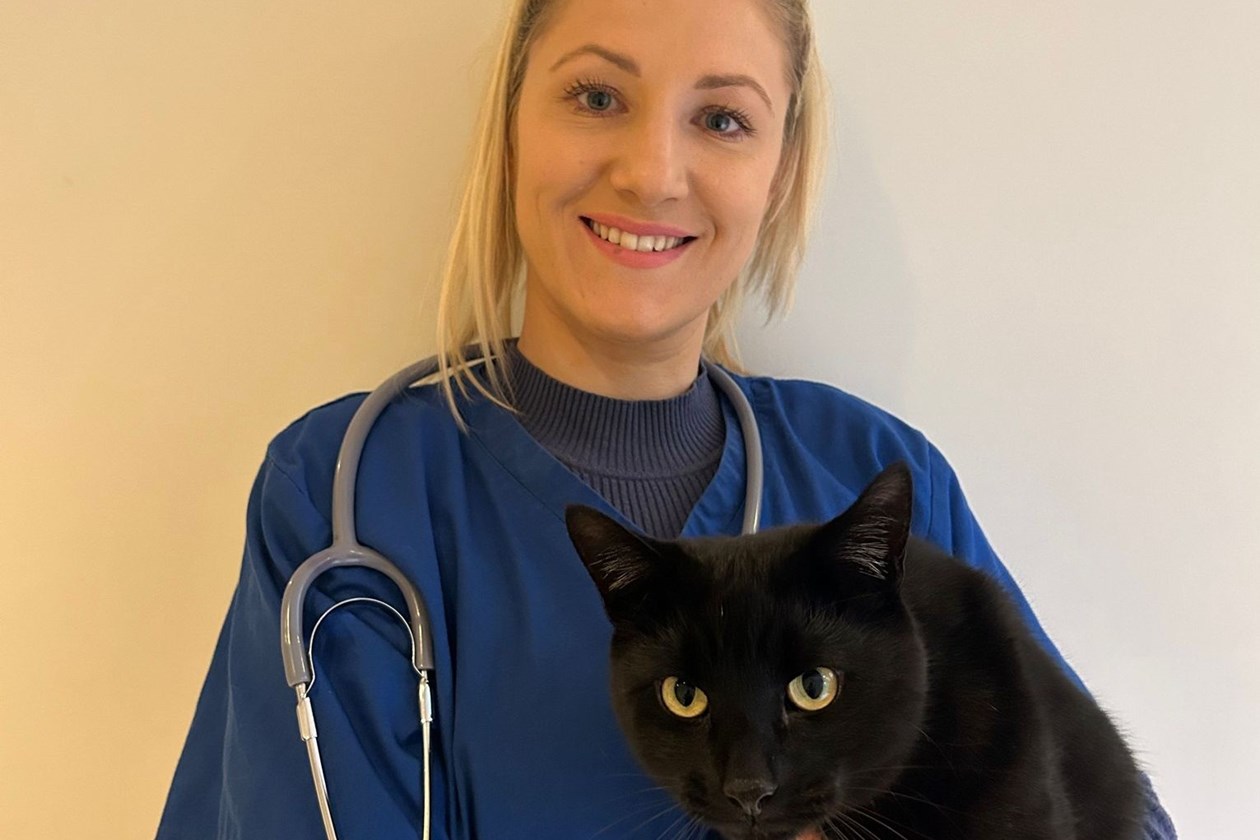 Vet in Ashby | Open Saturdays | Medivet