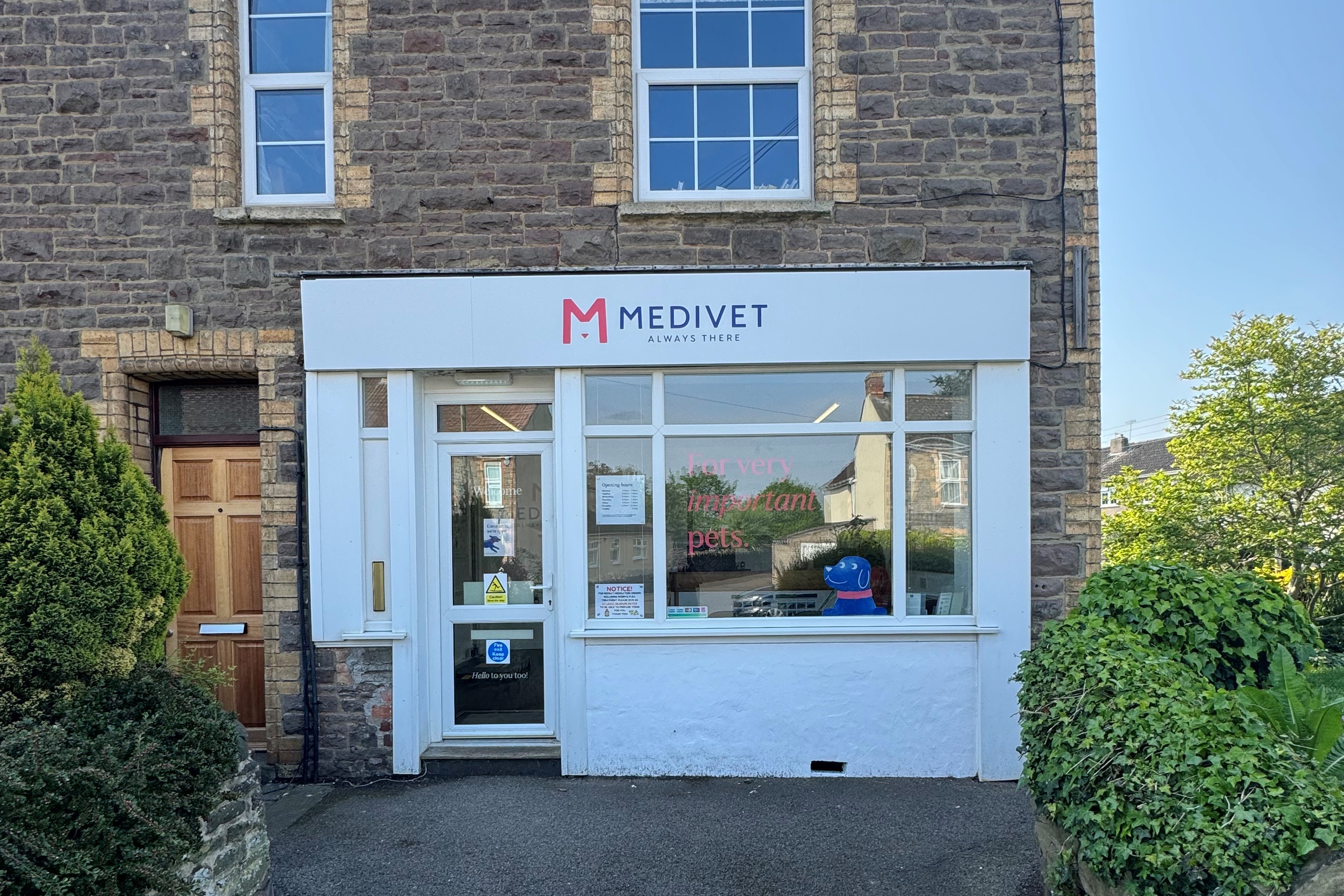 Vet in Oldland Common | Open Saturdays | Medivet