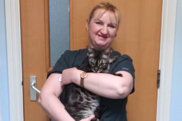Medivet 24 Hour Swanland | Vets in Yorkshire | Medivet