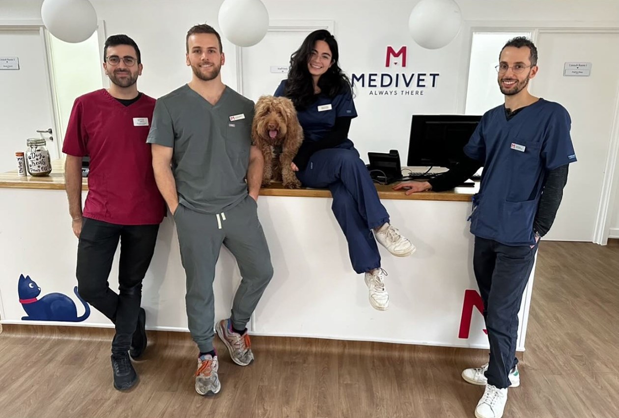 Medivet 24 Hour Camberwell | Emergency Vets Camberwell